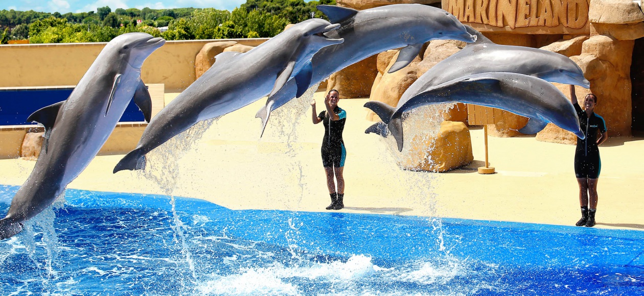 Marineland Catalunya
