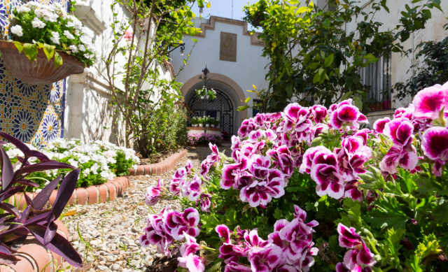 Calella Official Website | Calellabarcelona Moments of happiness